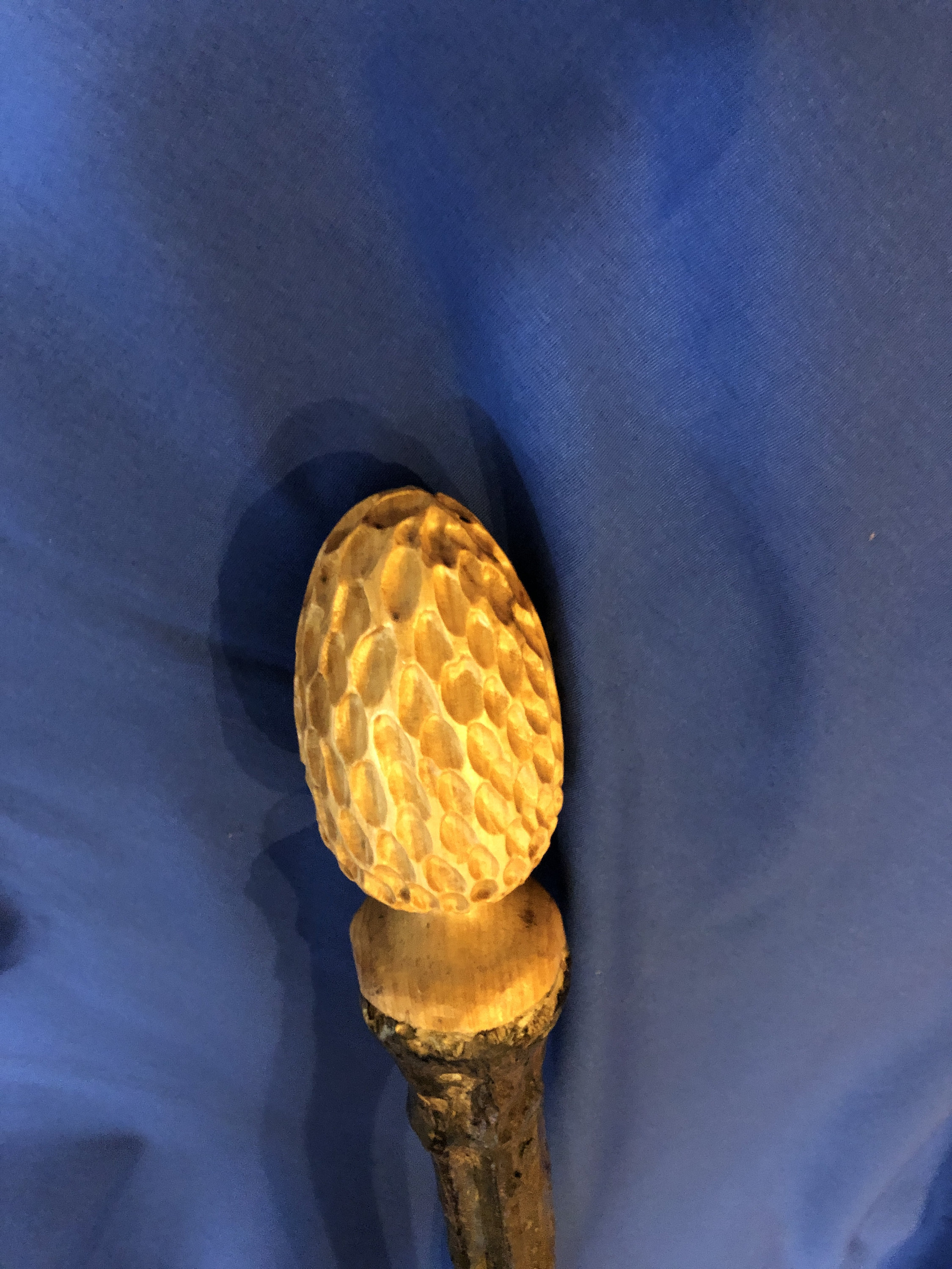 Sunflower Stalk Walking Stick Cane Carved Mushroom - Etsy