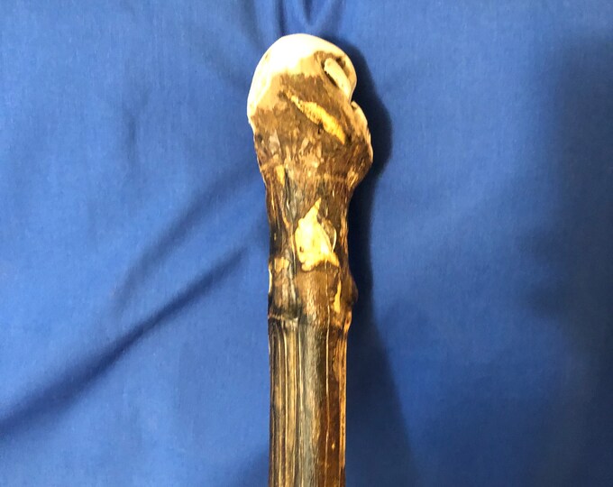 Sunflower Stalk Walking Stick Cane Hand Made - Etsy