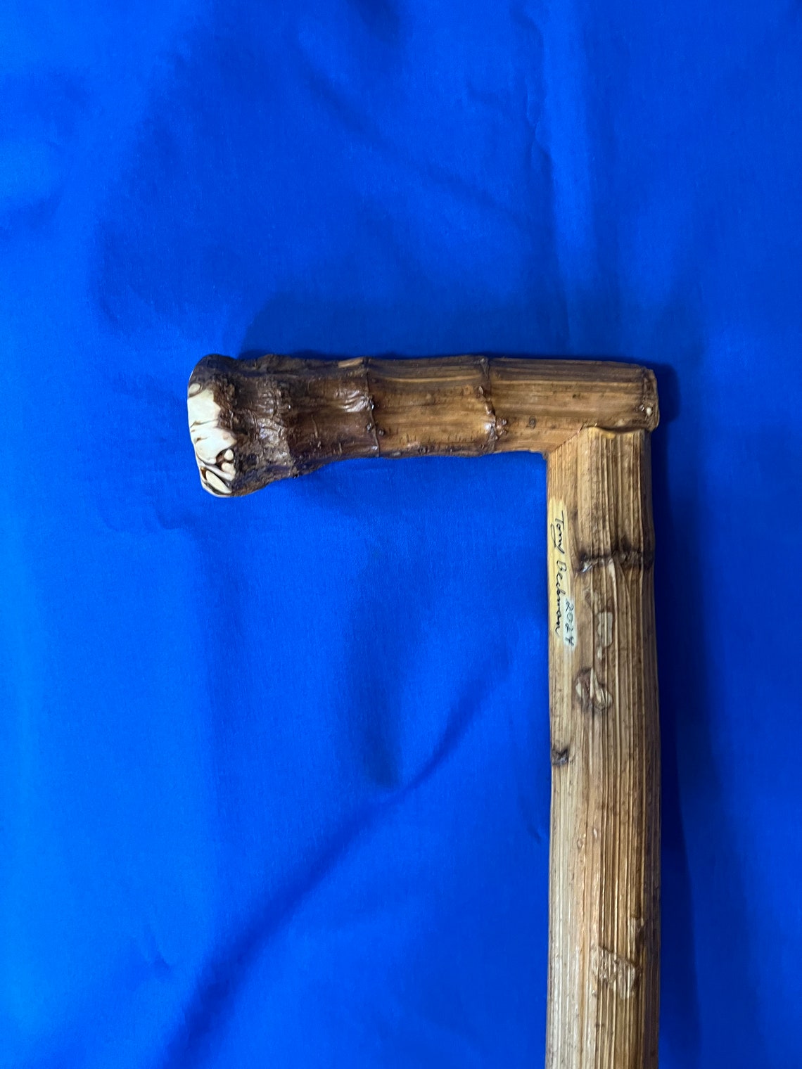 Cane Walking Stick Sunflower Stalk - Etsy