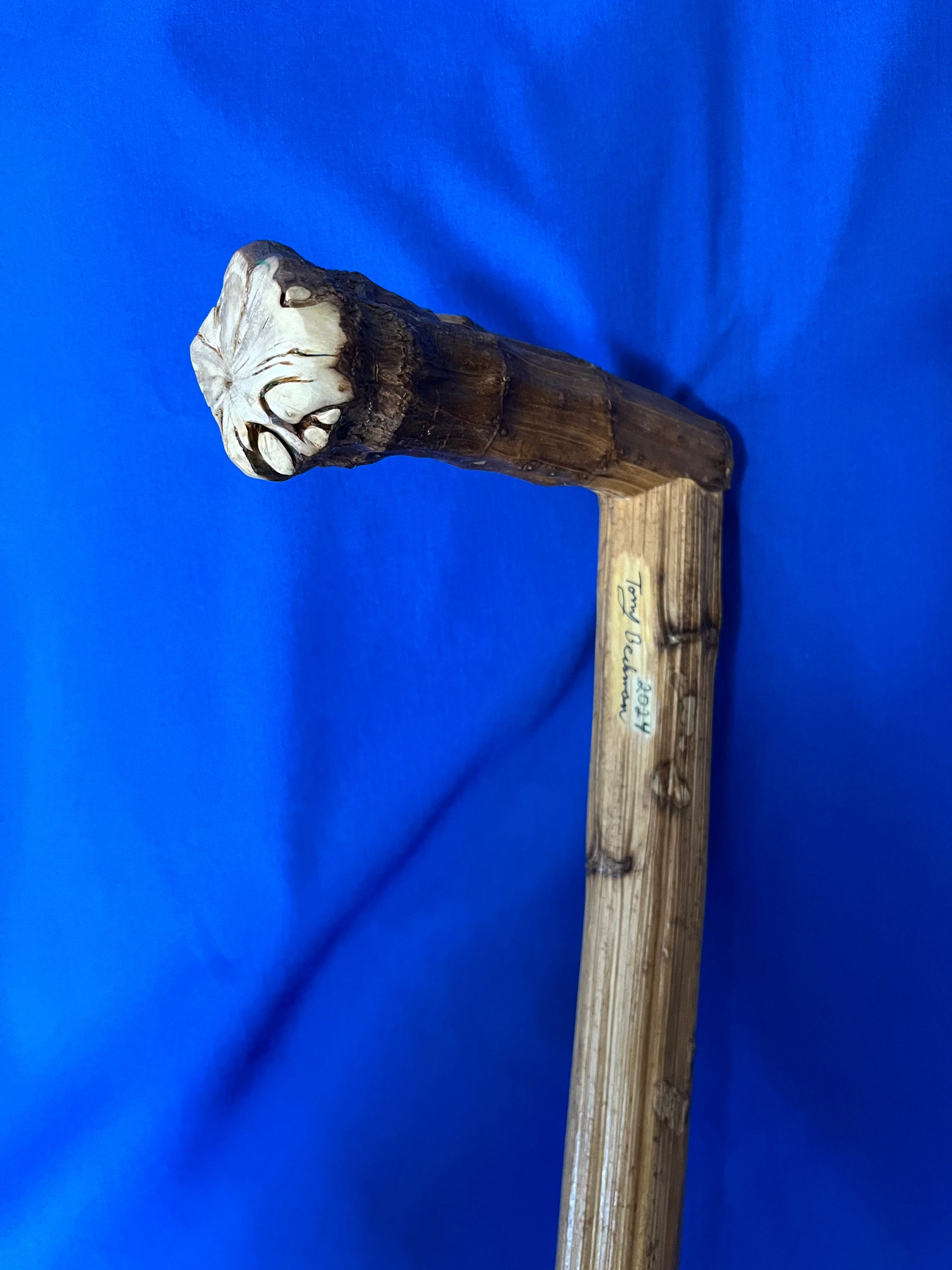 Cane Walking Stick Sunflower Stalk - Etsy