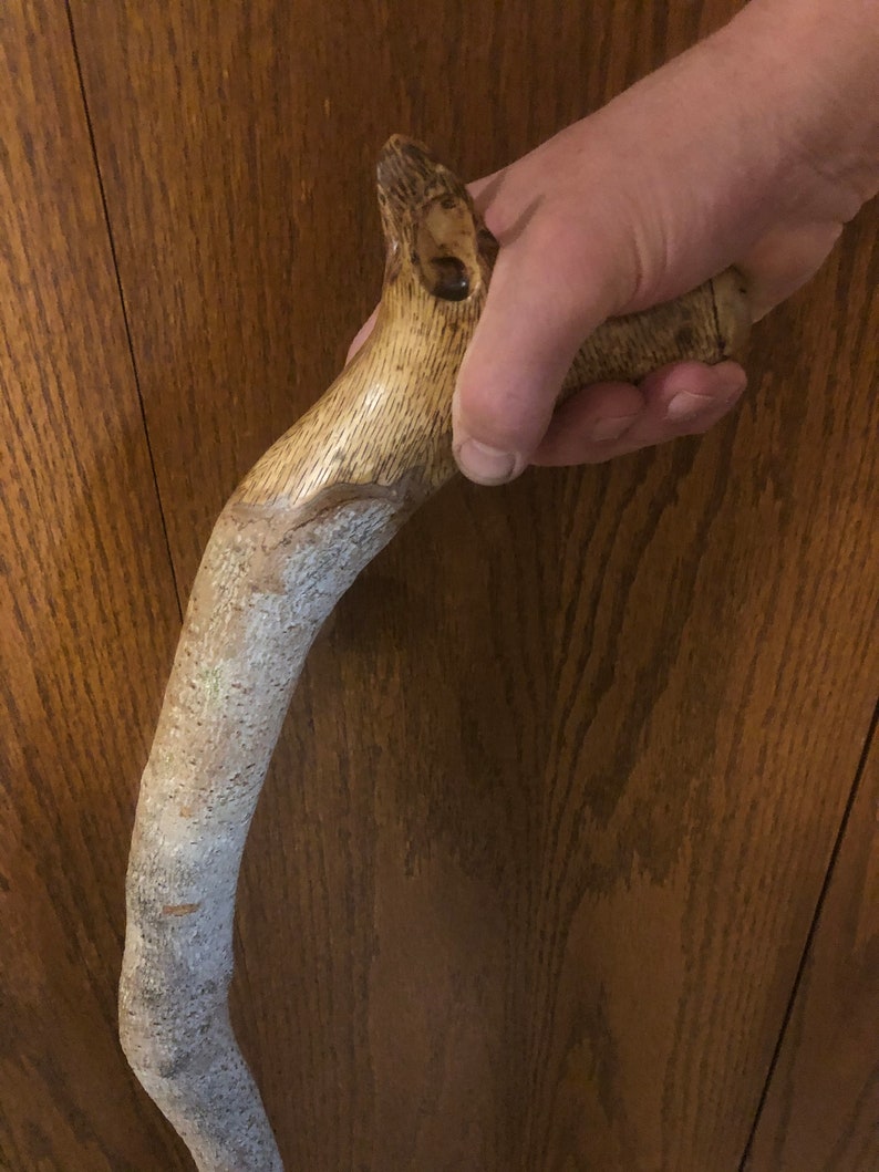 Cane Walking Stick Donkey Burro Mule Animal Critter Funny Caricature - Etsy