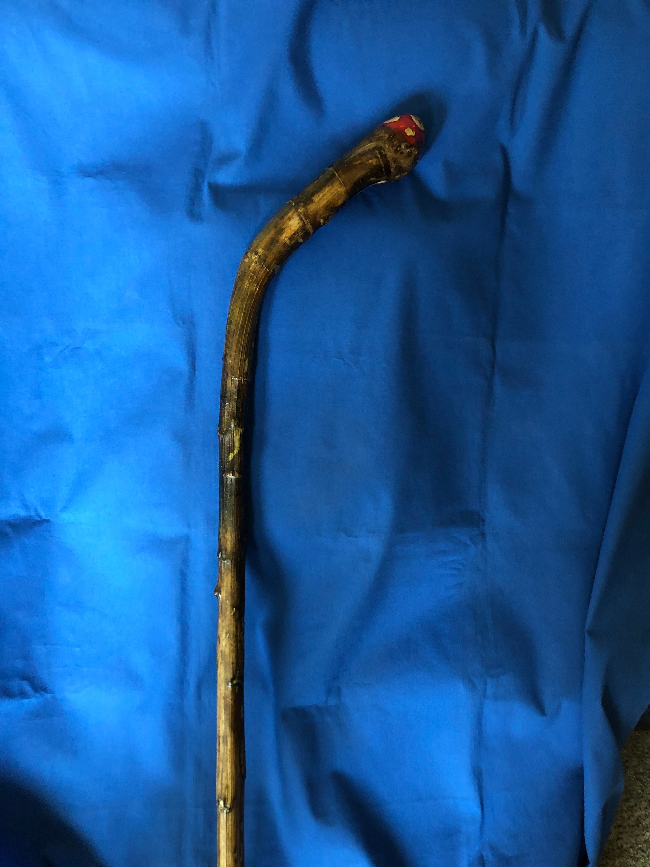 Sunflower Stalk Walking Stick Cane - Etsy