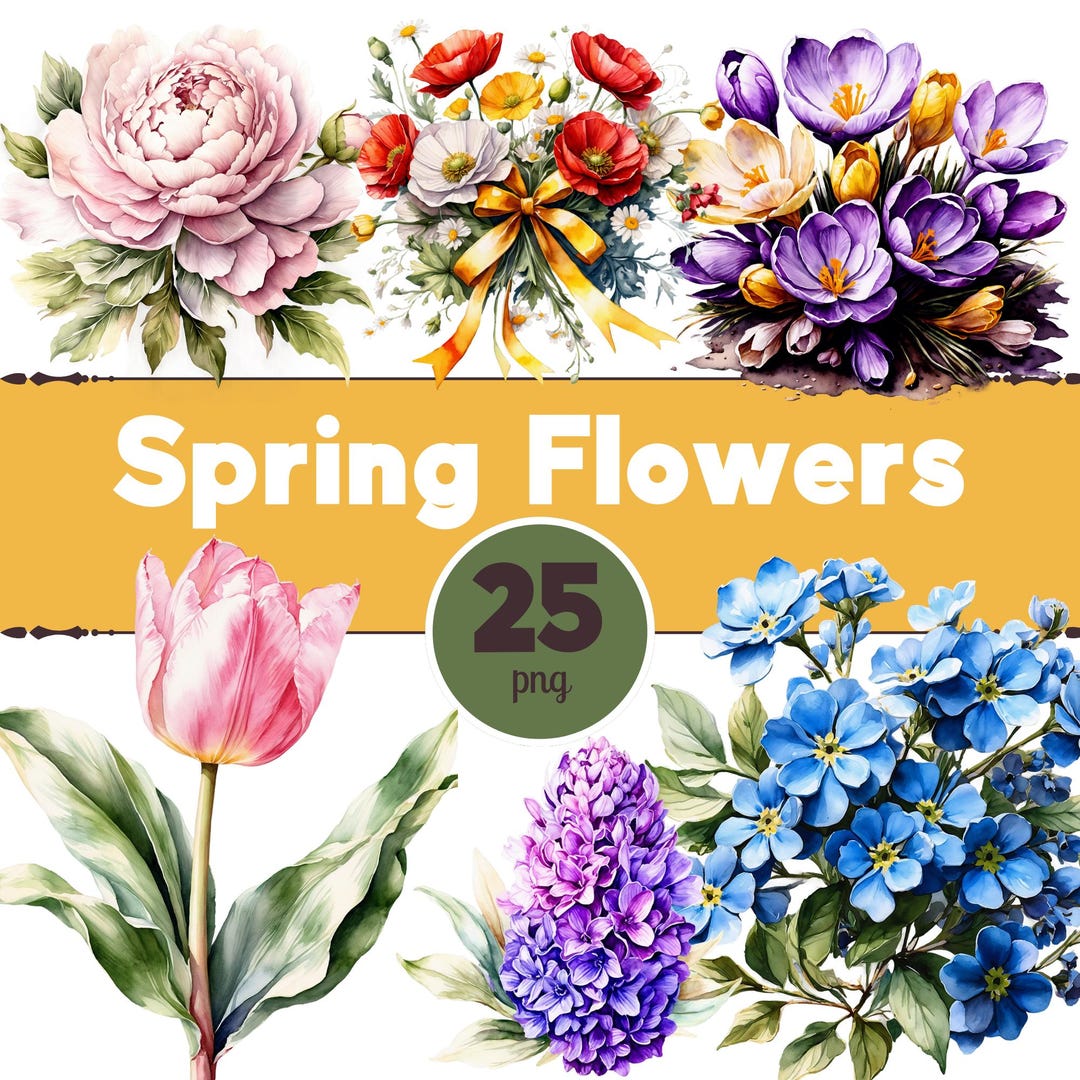 Spring Flower PNG Clipart - Etsy