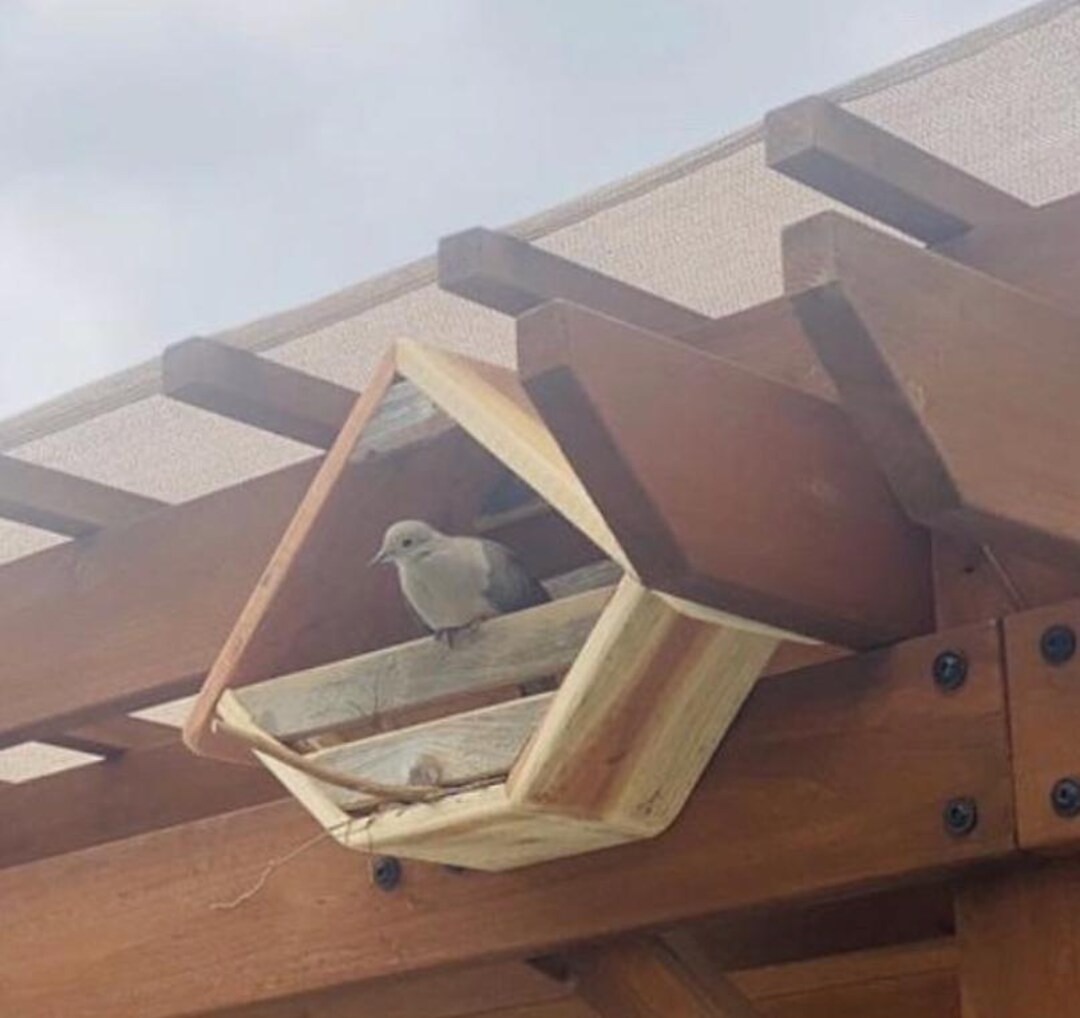 Dove and Songbird Nesting Boxes. Formally Three Sisters Harvest - Etsy
