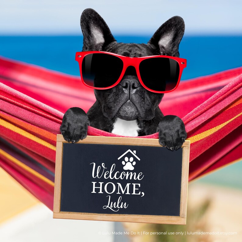 Gotcha Day SVG Bundle: Dog Adoption Cricut Files + Bonus Certificate ...