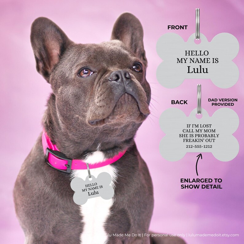 Gotcha Day SVG Bundle: Dog Adoption Cricut Files + Bonus Certificate ...