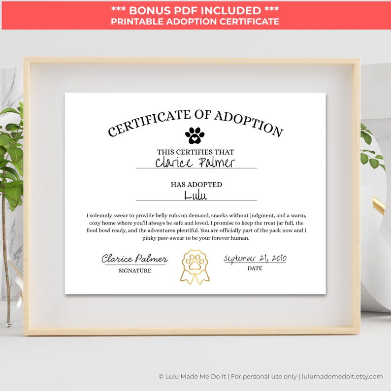 Gotcha Day SVG Bundle: Dog Adoption Cricut Files + Bonus Certificate ...