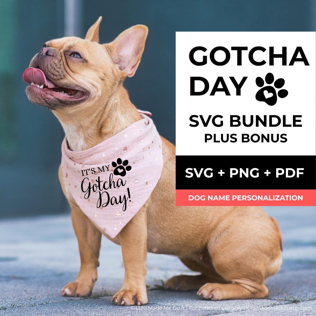 Gotcha Day SVG Bundle: Dog Adoption Cricut Files + Bonus Certificate ...