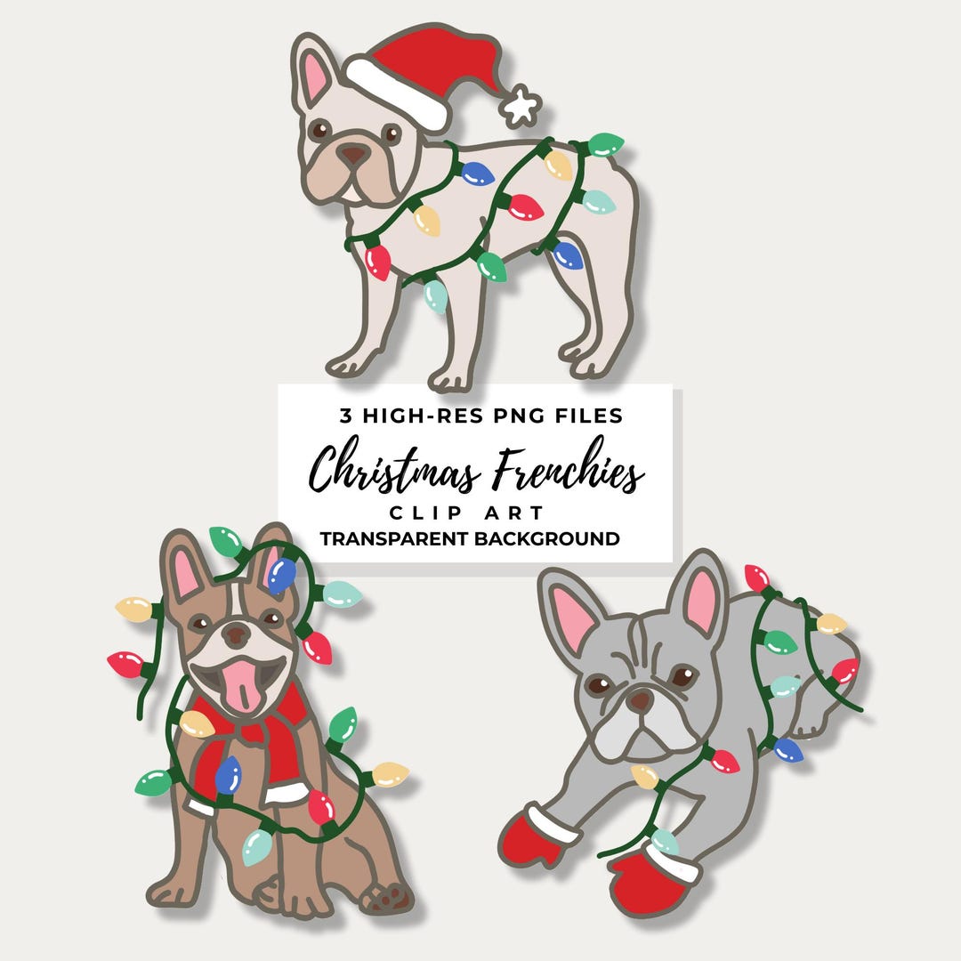 French Bulldog Christmas Clipart | Frenchie Holiday Lights PNG Bundle ...