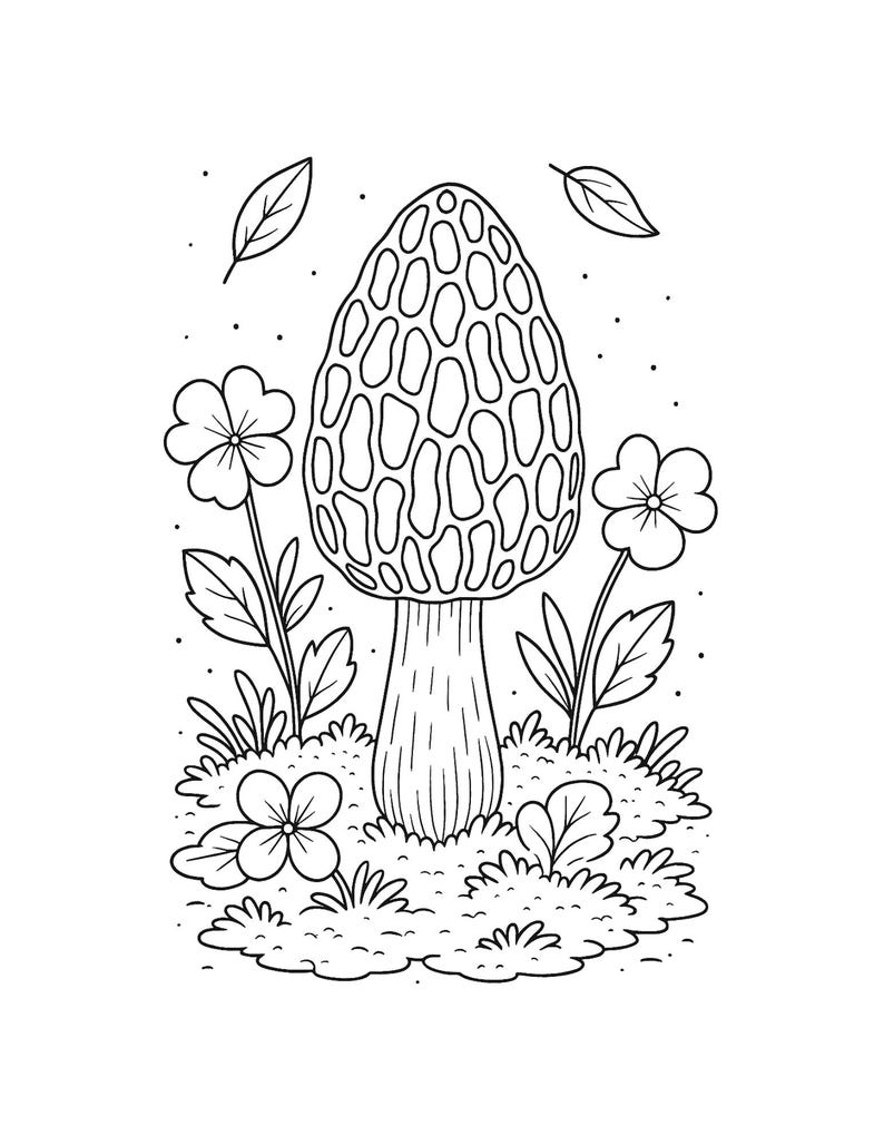 The Secret Life of Mushrooms: A Botanical Coloring Book of Forest Fungi ...