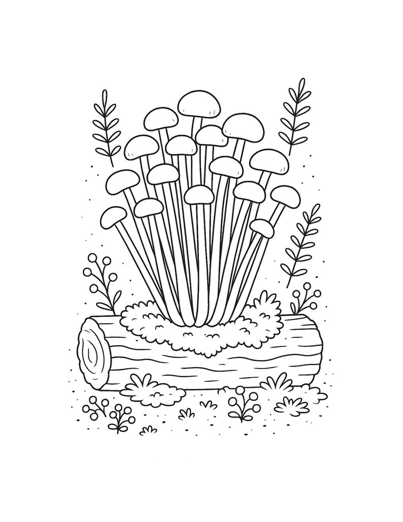 The Secret Life of Mushrooms: A Botanical Coloring Book of Forest Fungi ...