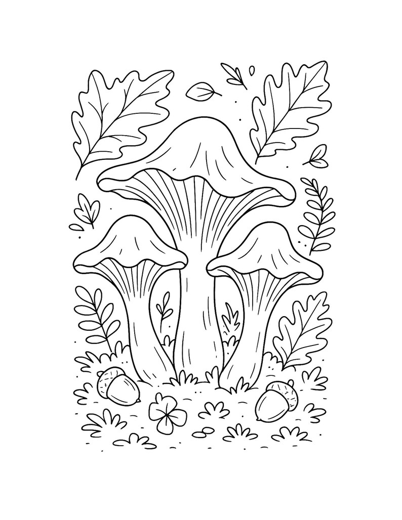 The Secret Life of Mushrooms: A Botanical Coloring Book of Forest Fungi ...