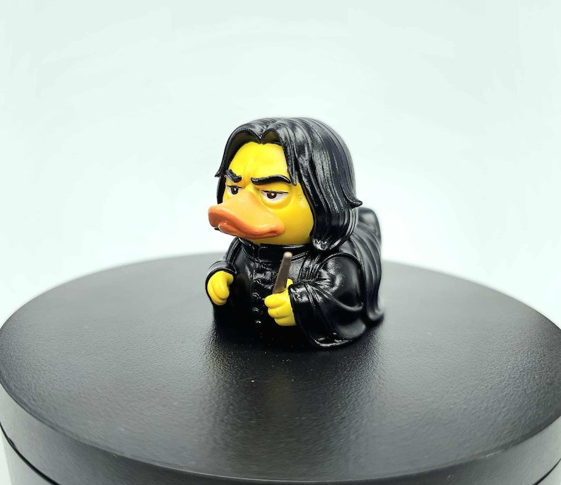 Teacher Wizard 3D Printed Resin Duck Statuettes, Magic Ducks Inspired ...