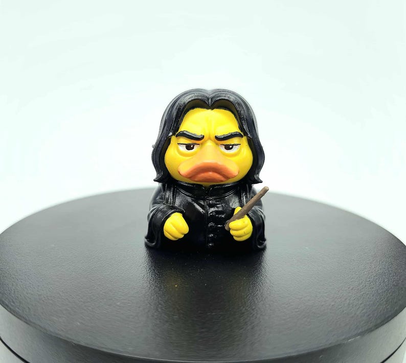 Teacher Wizard 3D Printed Resin Duck Statuettes, Magic Ducks Inspired ...