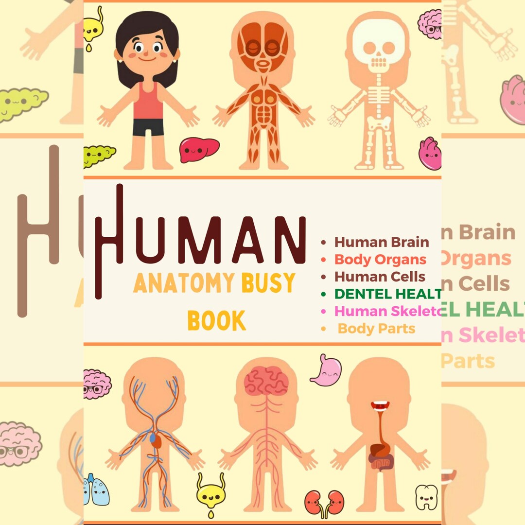 Human Anatomy Busy Book (printable PDF) - Etsy