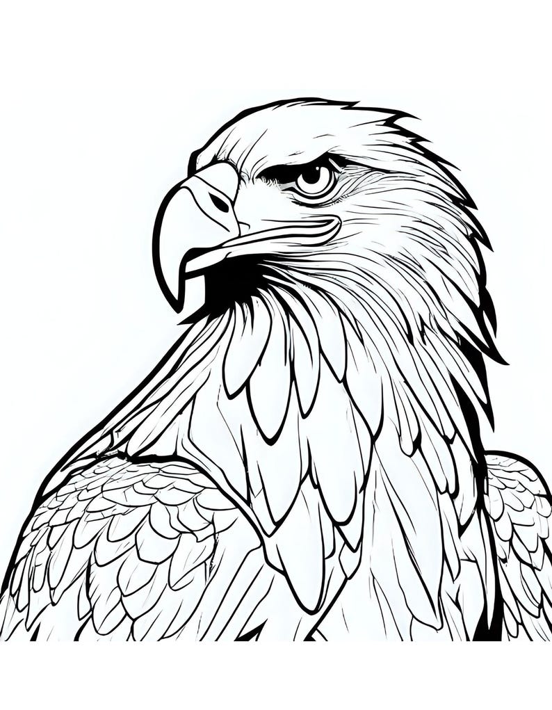 Eagle Coloring Pages for Kids & Adults: Printable Bird Art (PDF ...
