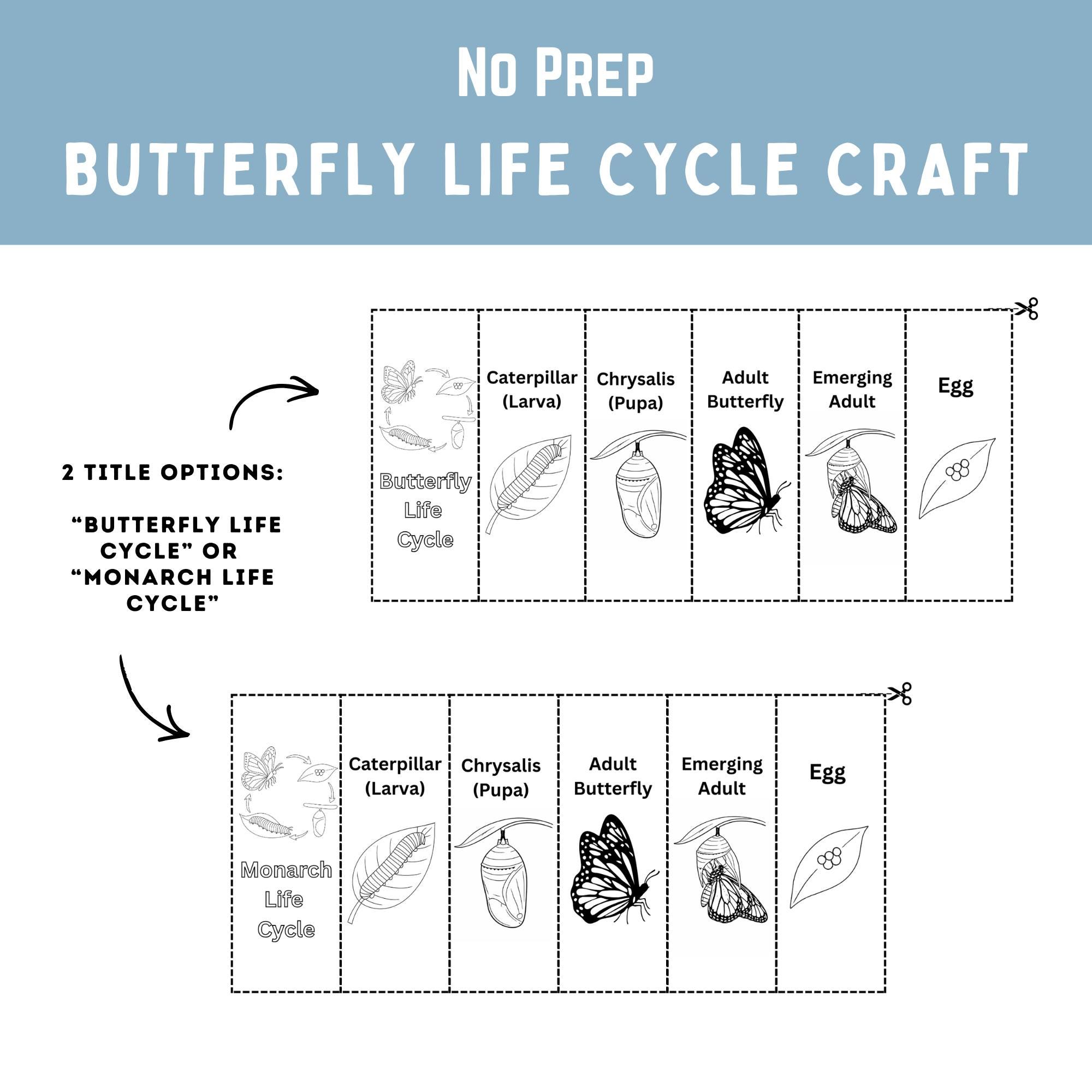 Monarch Butterfly Life Cycle Craft | No Prep Folding Science Activity ...