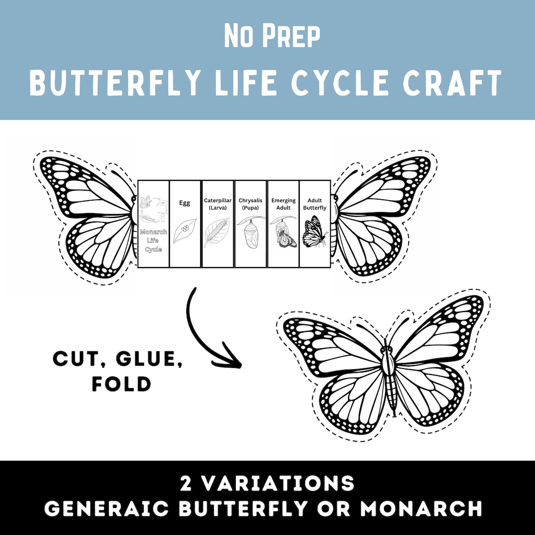 Monarch Butterfly Life Cycle Craft | No Prep Folding Science Activity ...
