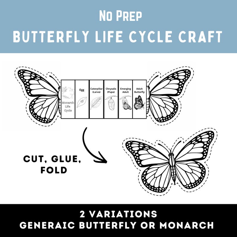 Monarch Butterfly Life Cycle Craft | No Prep Folding Science Activity ...