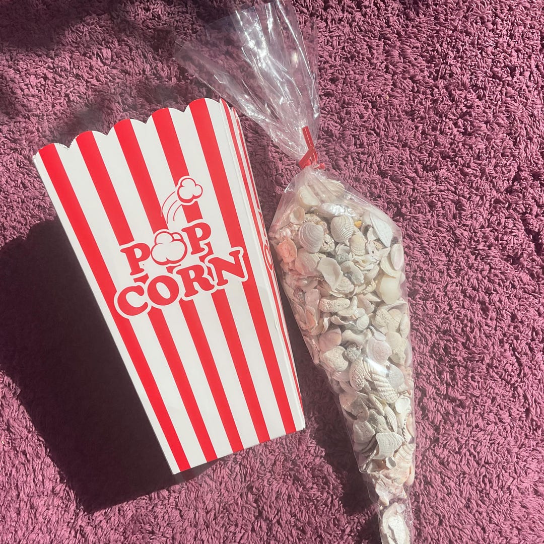 Bag of Seashells With Popcorn Storage Box Bundled Together - Etsy