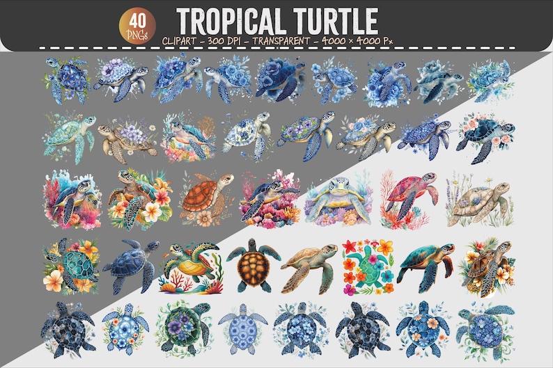 Tropical Turtle Clipart Bundle Watercolor Sea Turtle PNG Set Ocean ...