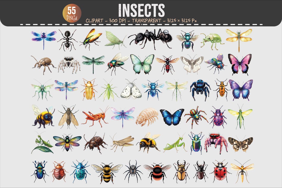 Realistic Insect Clipart Bundle | 55 PNG Bug, Bee, Butterfly Graphics ...