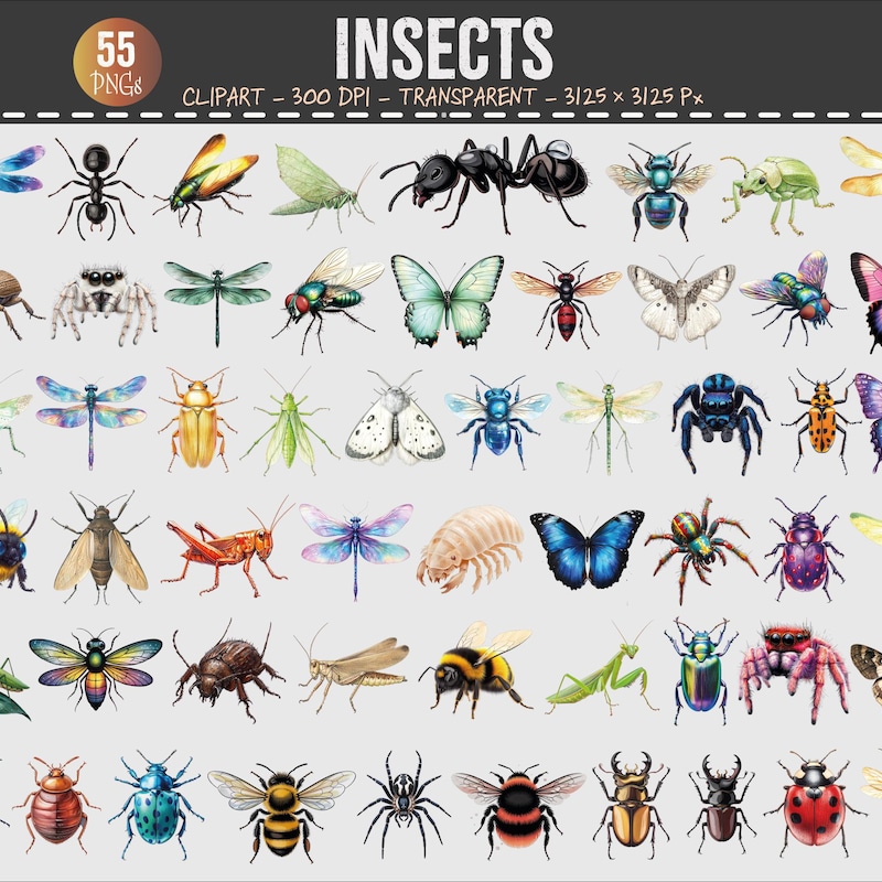 Insect Clipart - Etsy