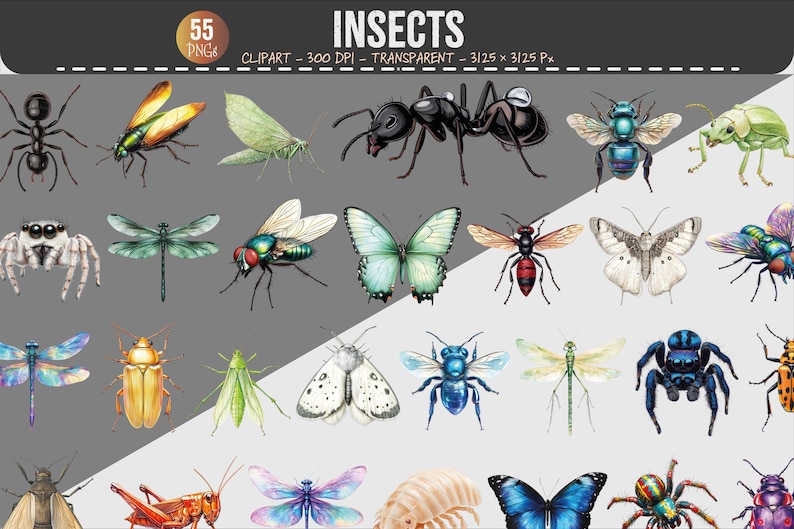 Realistic Insect Clipart Bundle | 55 PNG Bug, Bee, Butterfly Graphics ...
