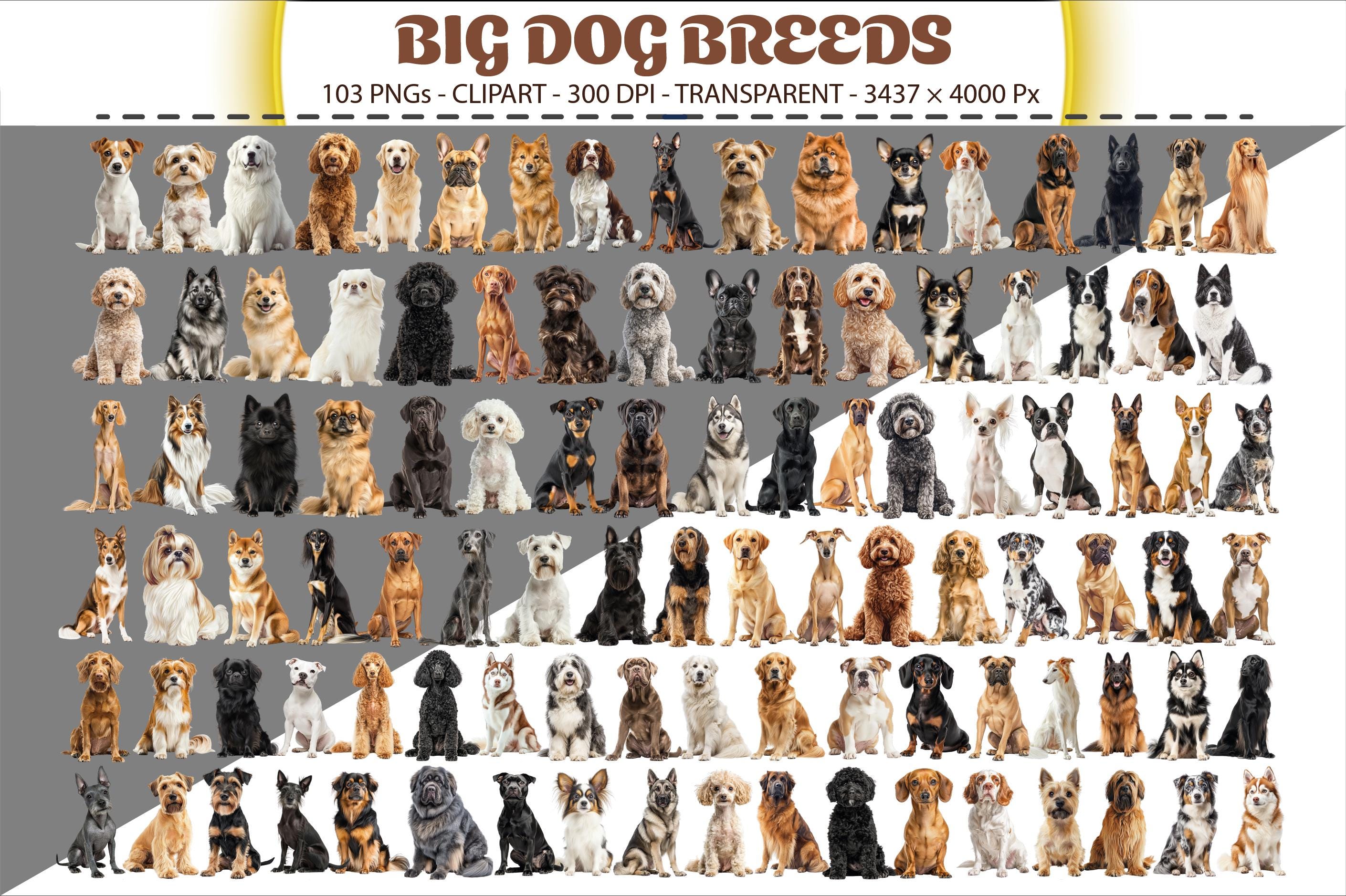 Big Dog Breeds Clipart Bundle Realistic Dogs Pet PNG Set 300 DPI - Etsy