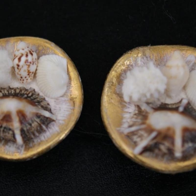 Sea Shell Hair Clips - Etsy