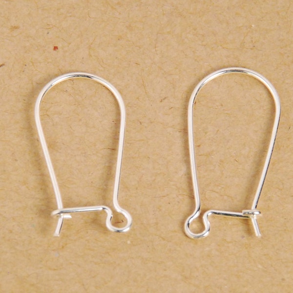 Kidney Ear Wires - Etsy