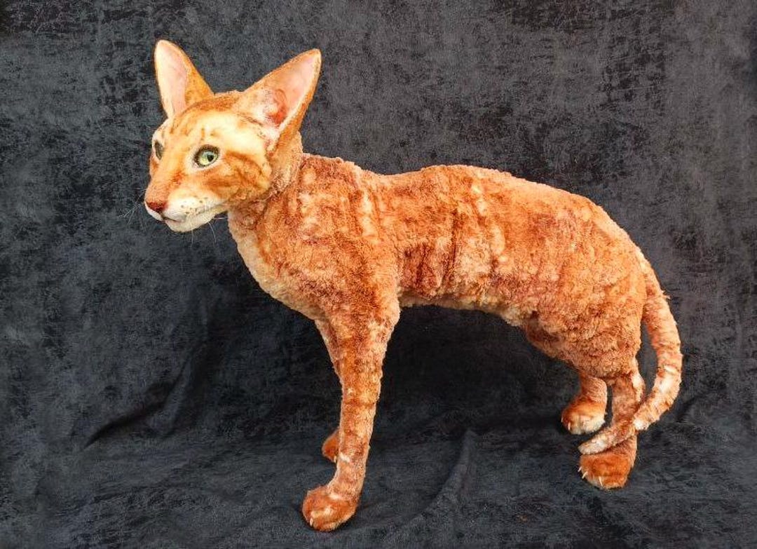 Cat Realistic Replicas Life Size Plush Doll Poseable Stuffed Animal - Etsy