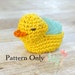 Crochet Pattern, Ducky Scrubby, Duck Basket - Etsy
