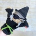 Crochet Pattern Wicked Witch of the West Hand Puppet the - Etsy