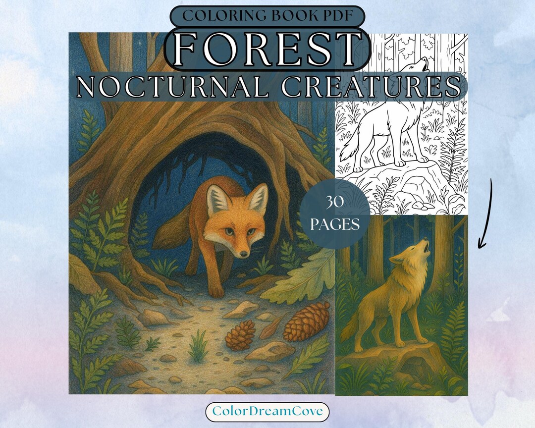 Forest Nocturnal Creatures Coloring Book PDF – Realistic Night Forest ...