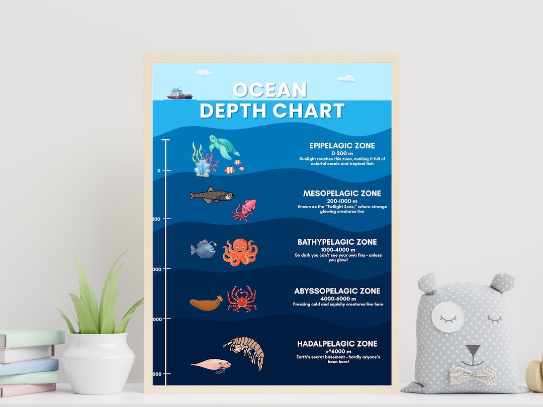 Ocean Zones Poster: Marine Biology Classroom Decor (printable) - Etsy ...
