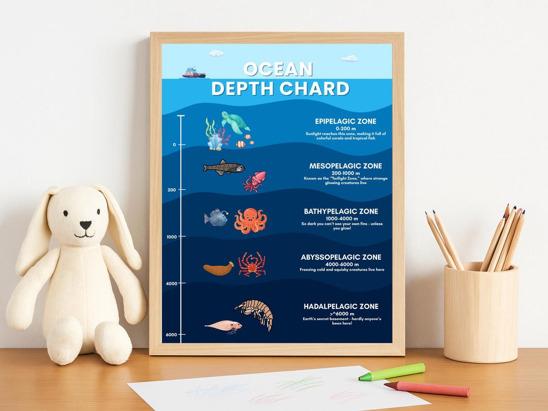 Ocean Depth Chart Poster: Marine Life Zones, Educational Wall Art ...