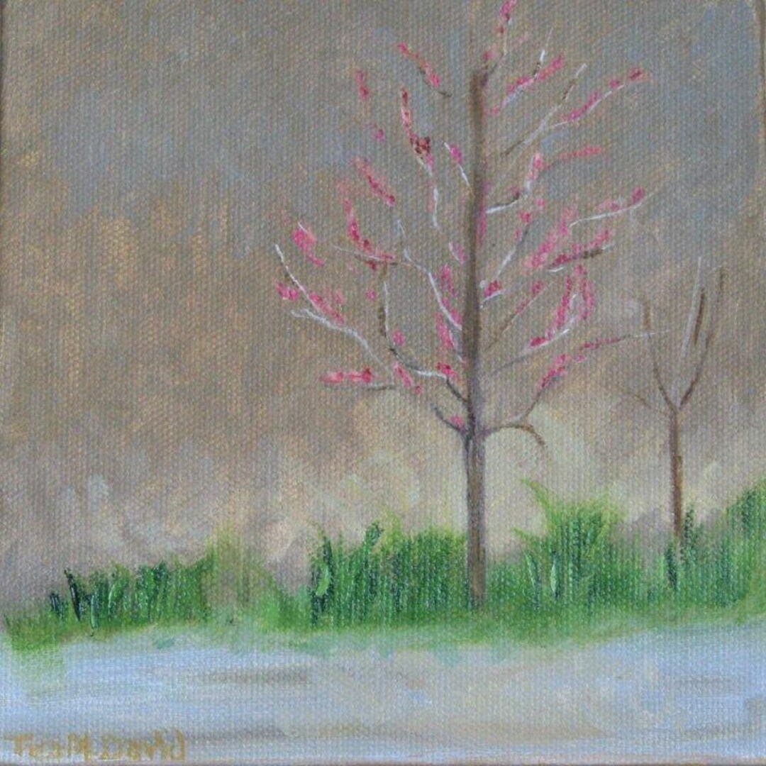 Redbud Tree Blossoms - Original Oil Painting - Etsy
