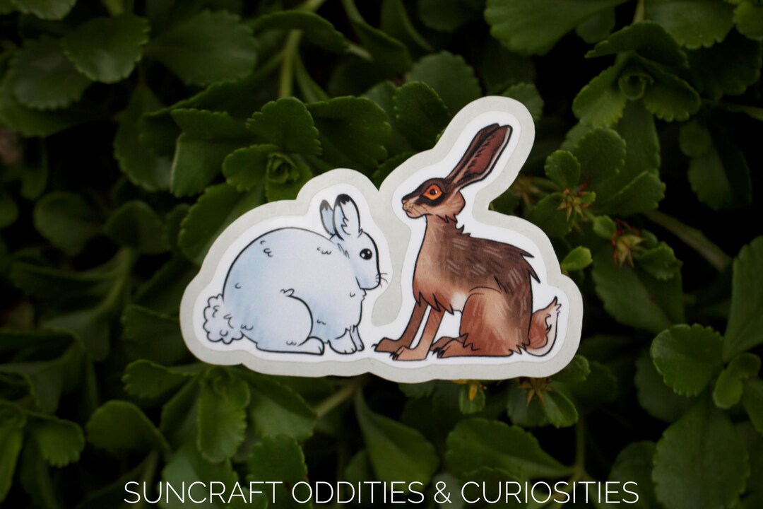 Bunny & Hare Sticker - Cute Design for Laptop, Notebook, Clipboard ...