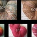 Cascade Heritage Wave Yarn Hank Sock Yarn Merino Superwash Wool Nylon ...