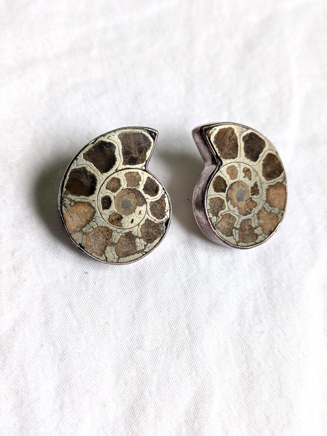 Amy Kahn Russell 31441 Ammonite Shell Stud Sterling Silver Earrings - Etsy
