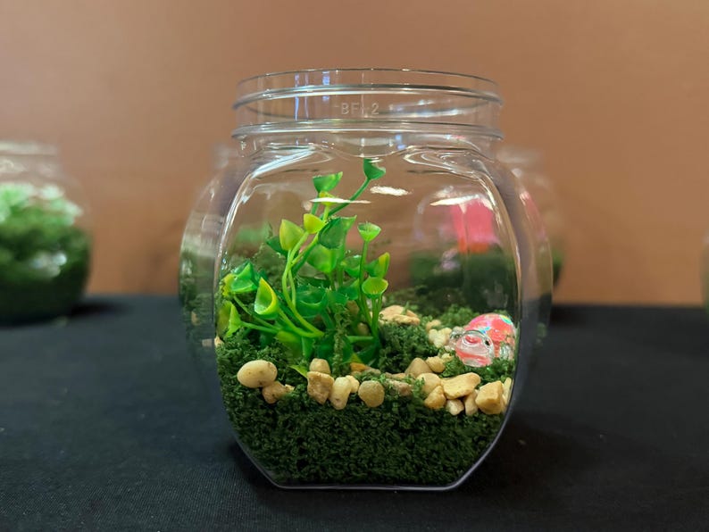Turtle Tank / Dorm Pet / Mini Turtle Jar / Small Support Turtle/ Desk ...