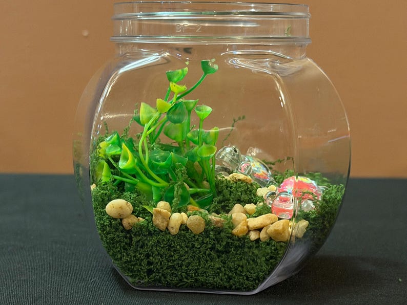 Turtle Tank / Dorm Pet / Mini Turtle Jar / Small Support Turtle/ Desk ...