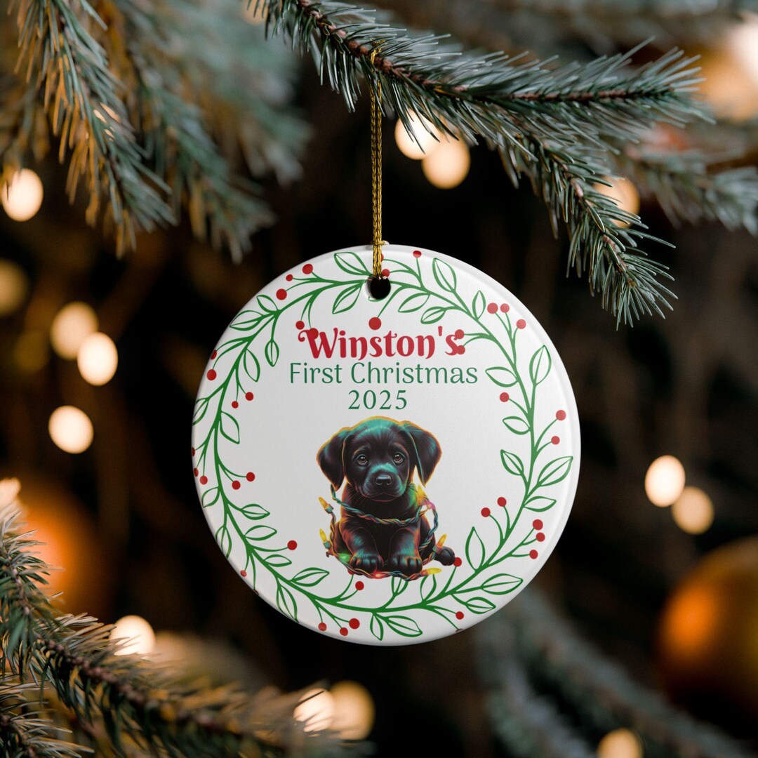 Personalized Black Labrador First Christmas Pet Ornament, Custom New ...
