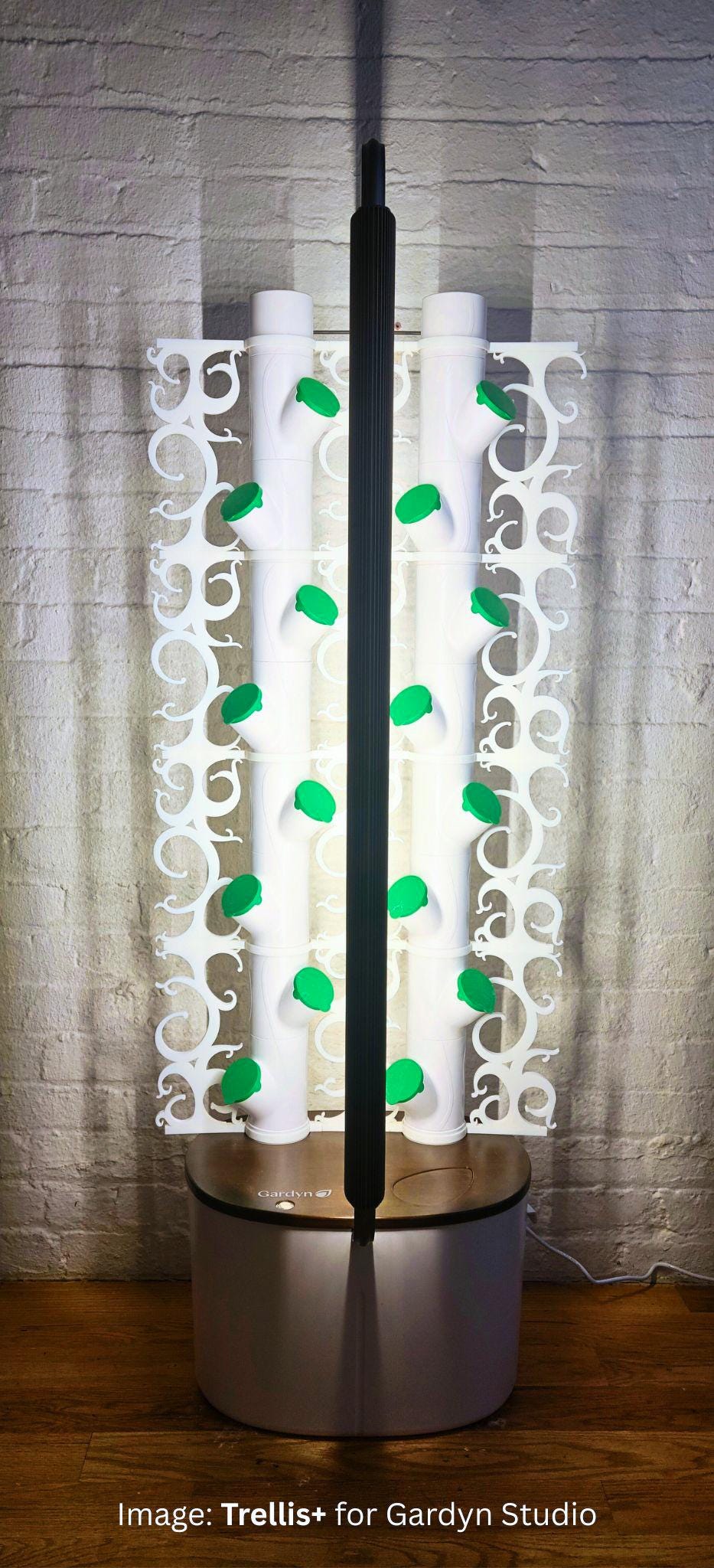 Plant Trellis for Gardyn Home & Studio by Green Beans - Etsy