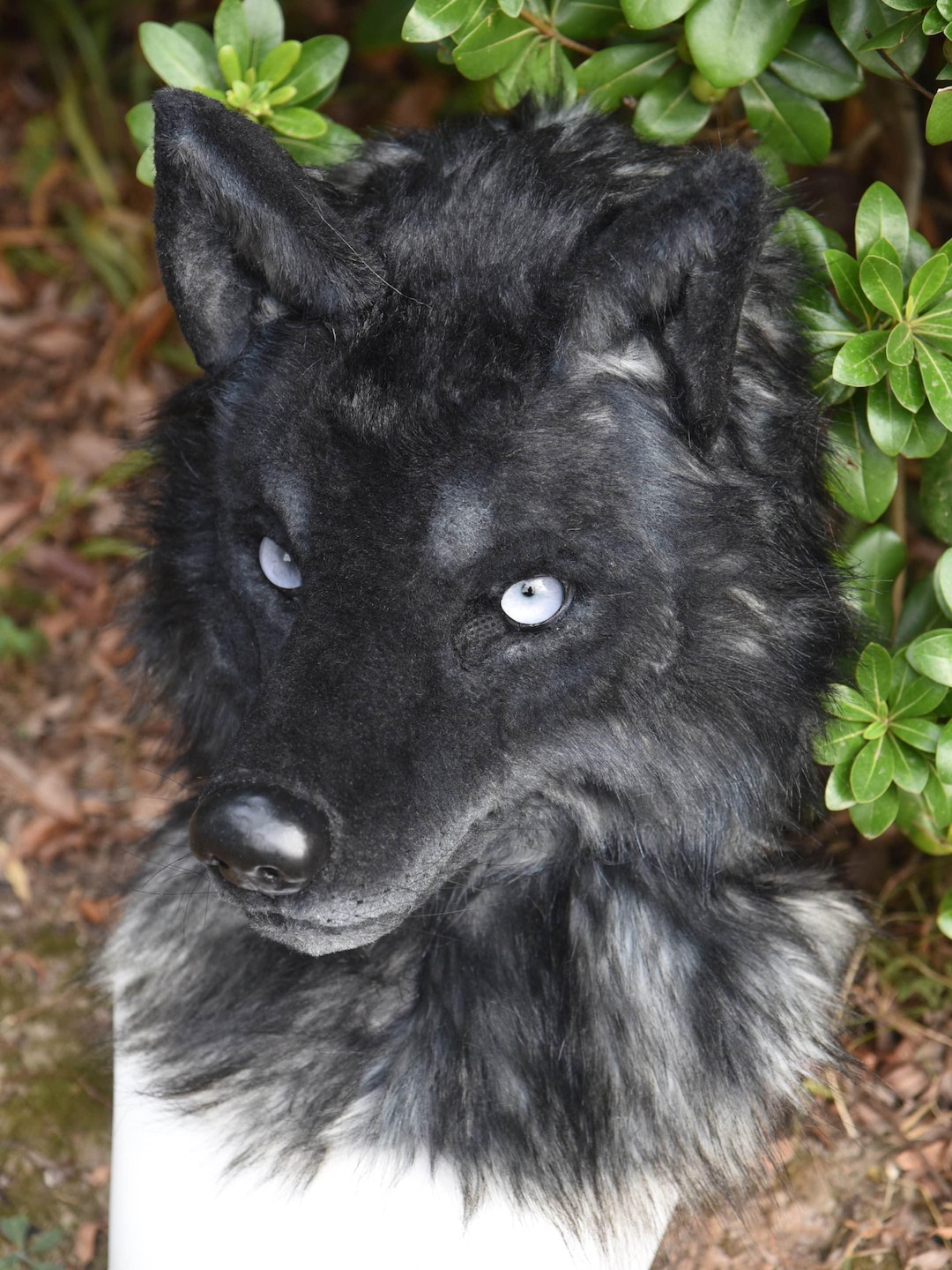 Realistic Wolf Fursuit Head With Movable Jaw – Handmade Wolf Cosplay ...
