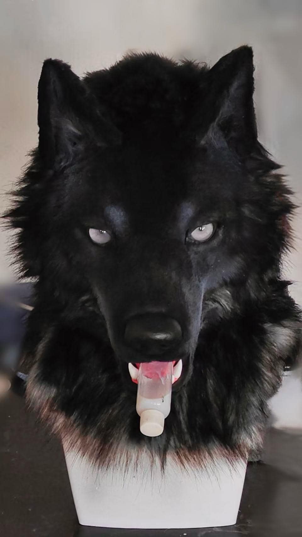 Realistic Wolf Fursuit Head With Movable Jaw – Handmade Furry Mask ...