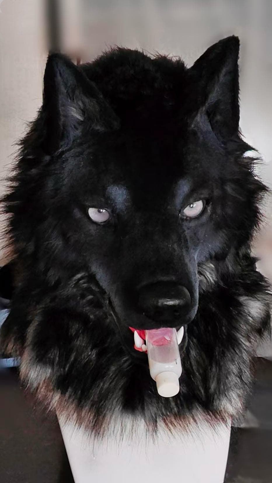 Realistic Wolf Fursuit Head With Movable Jaw – Handmade Furry Mask ...