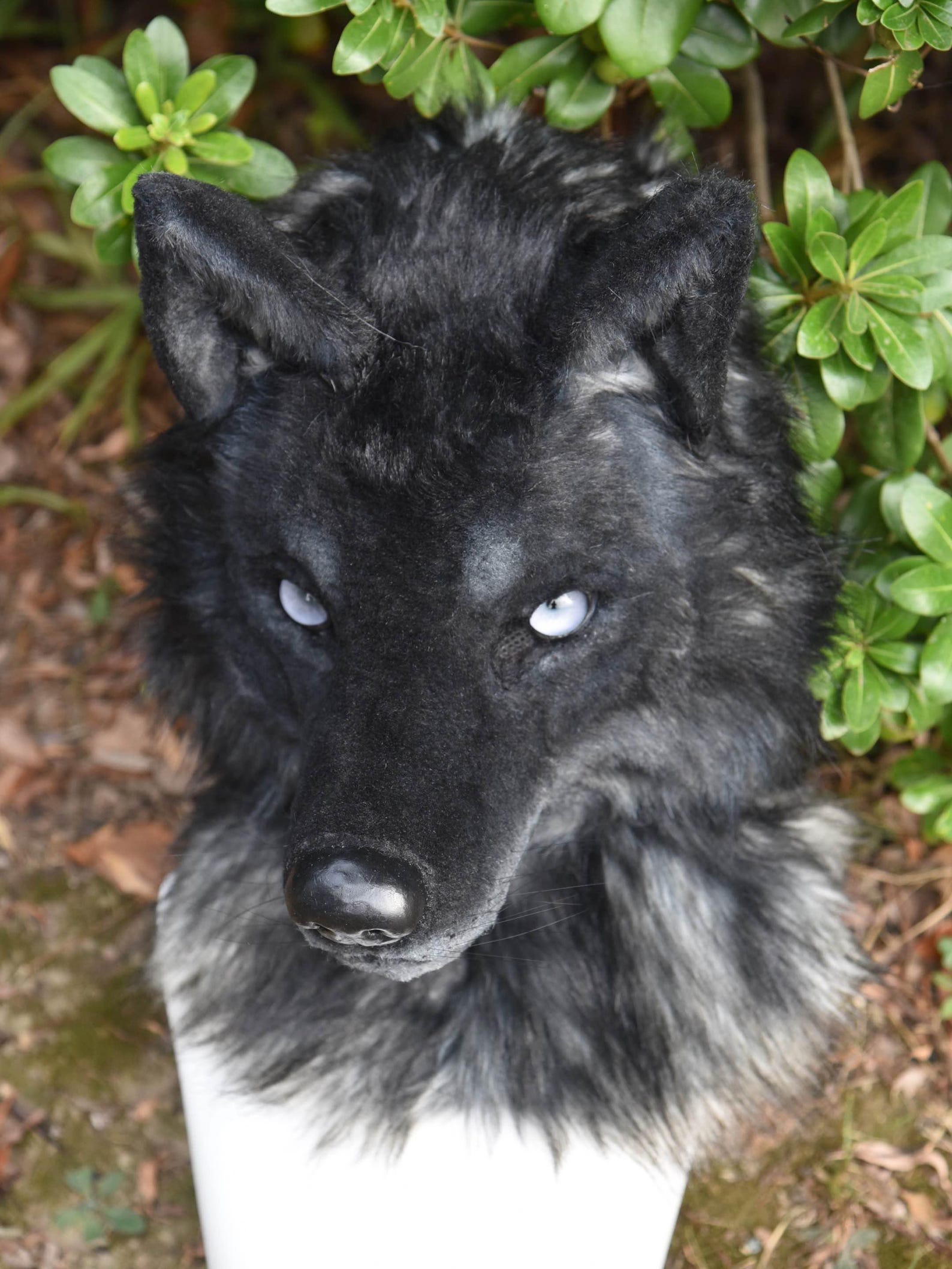 Realistic Wolf Fursuit Head With Movable Jaw – Handmade Wolf Cosplay ...