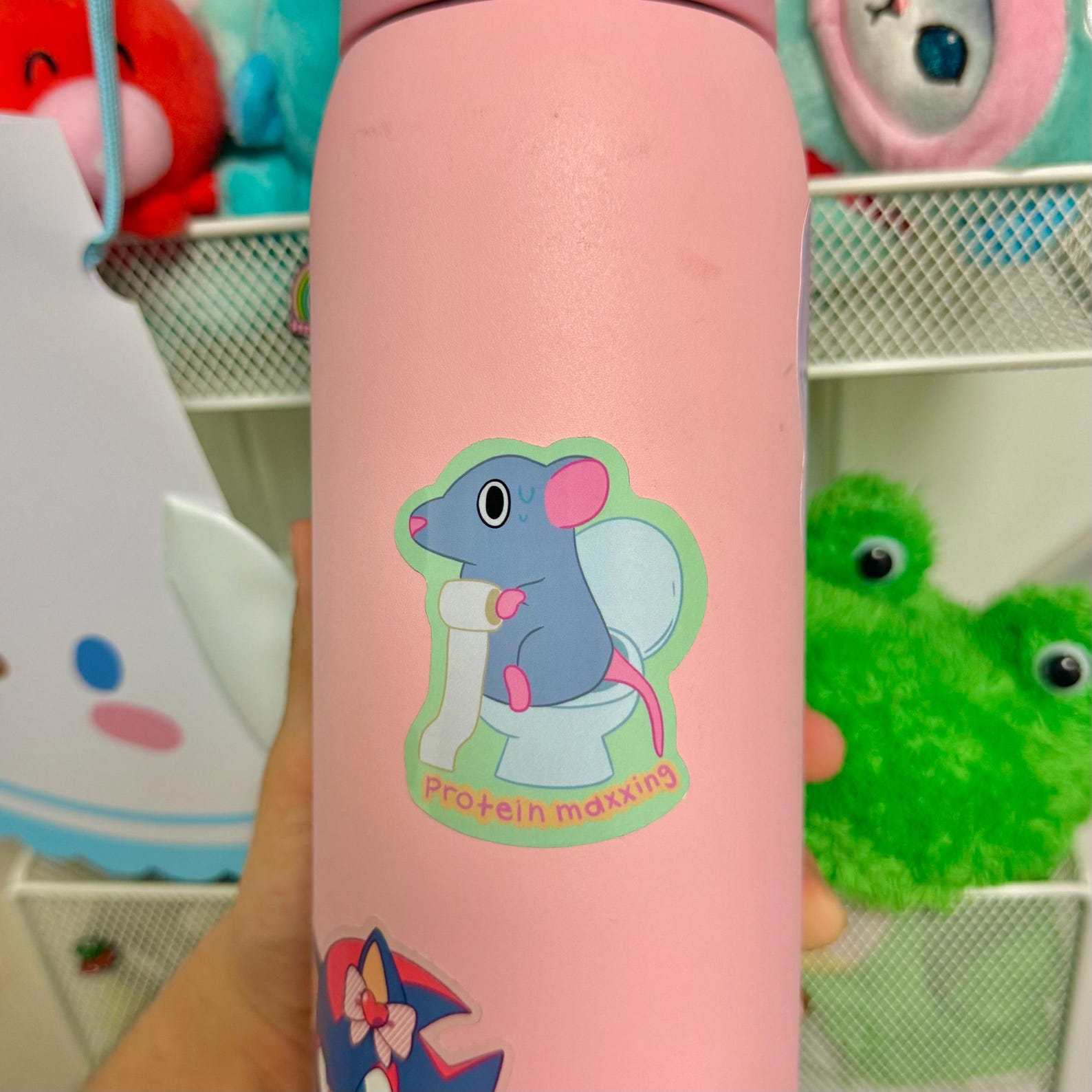 Gym Rat Protein Maxxing Sticker | Gym | Cute Animal | Vinyl Sticker ...